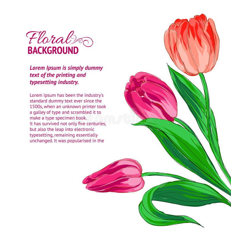 Red tulips and sample text stock vector. Illustration of leaf - 31052046