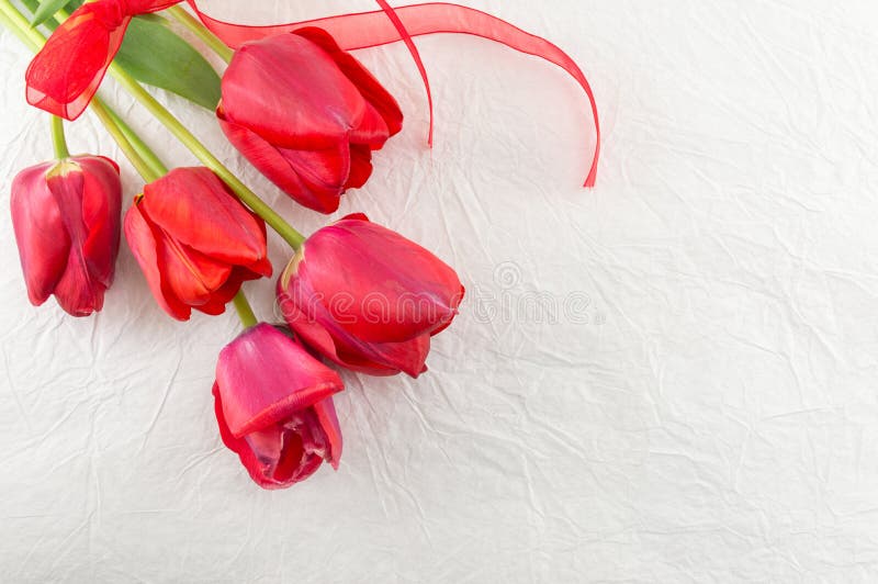 Red Tulips on a Silk Fabric Stock Photo - Image of anniversary, floral ...