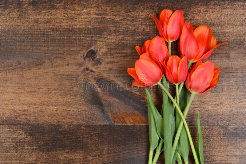 Colorful tulips in a vase stock photo. Image of classic - 31694992