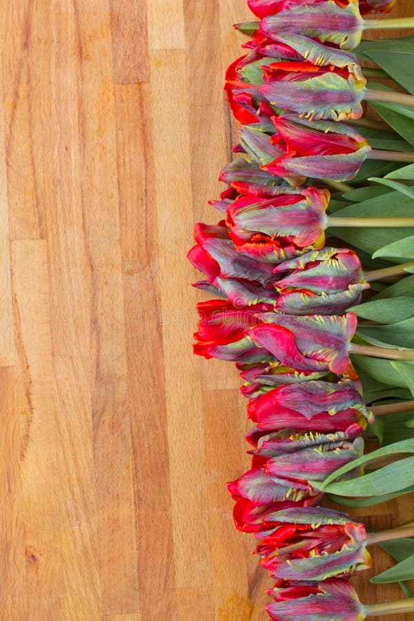 Red tulips on wooden table stock image. Image of beauty - 30423509