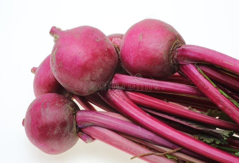 Turnip stock photo. Image of vegetable, ingredient, fresh - 35238566