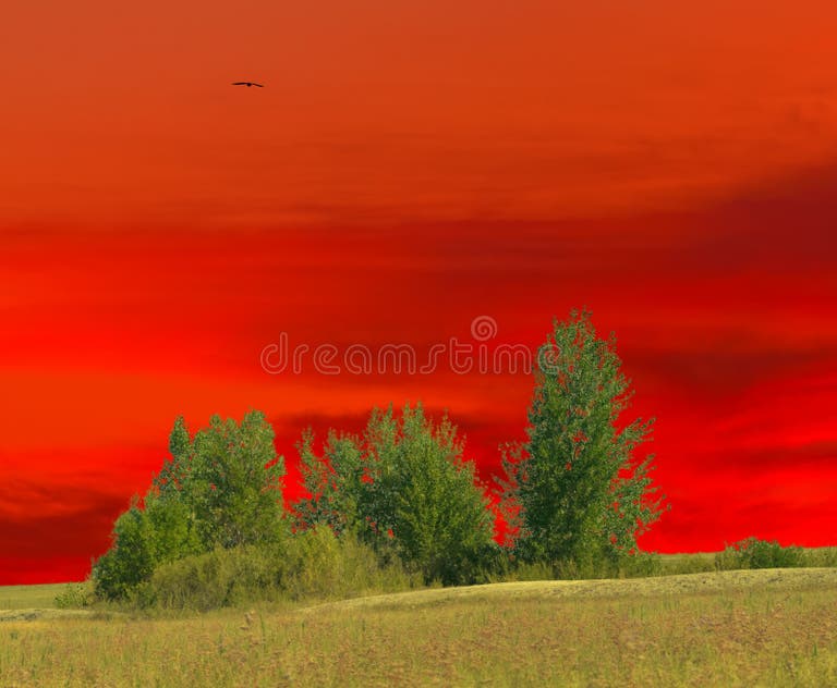 Red twilight stock image. Image of twilight, eventide - 51038745