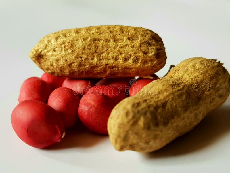 Peanuts back from the past stock photo. Image of loghry - 111141262