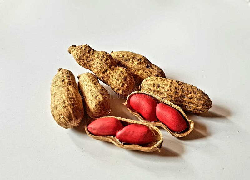 Peanuts back from the past stock photo. Image of loghry - 111141262