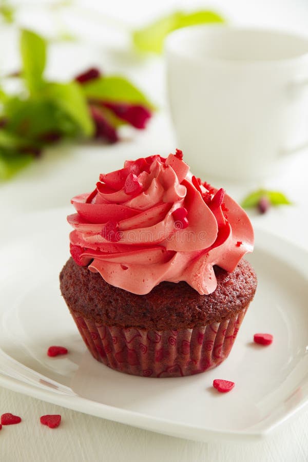 Cupcakes stock image. Image of fairy, frosting, flowers - 14309681
