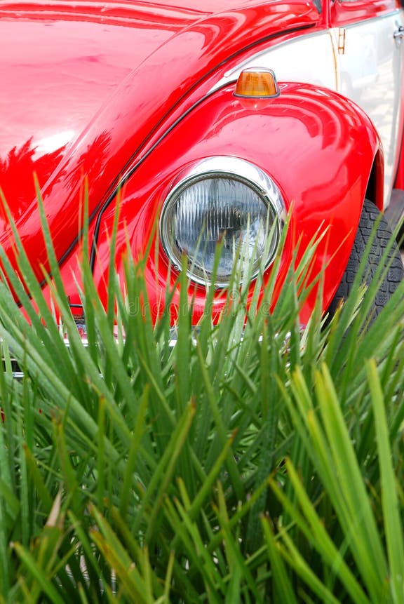 Red vw beetle stock photo. Image of grass, germany, oleander - 14141160