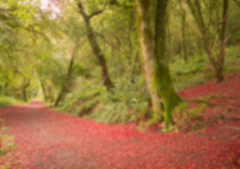 Red Walkway Along Green Trees Stock Photo - Image of beauty, scene ...