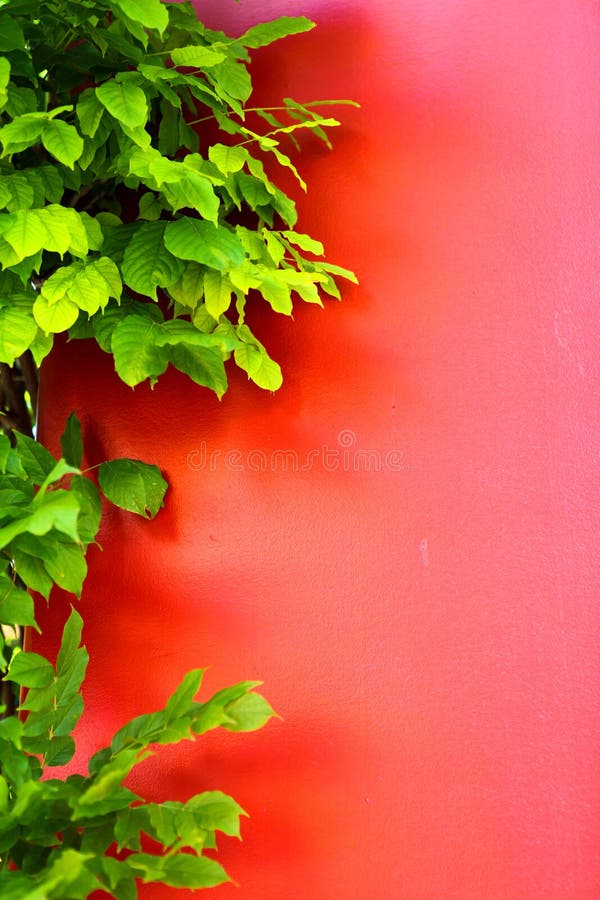 Red walls and green leaves stock image. Image of solid - 16199339