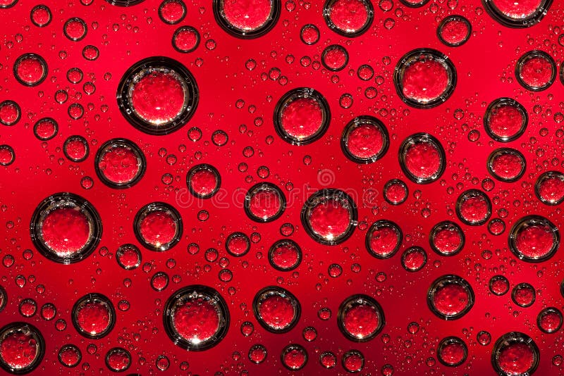 Web Drops Water Red