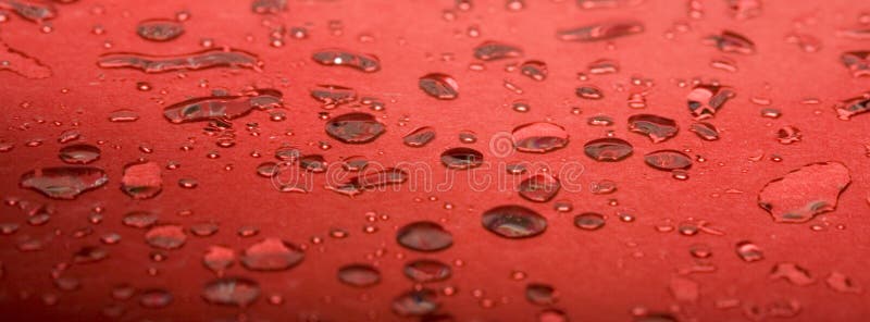 Red Water Droplets stock photo. Image of droplets, rain - 6988904
