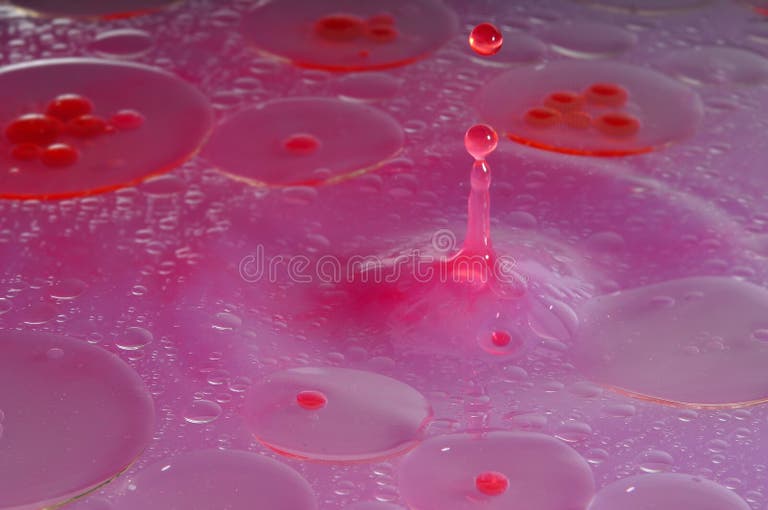 Red Water drops stock photo. Image of physics, waves - 29526304