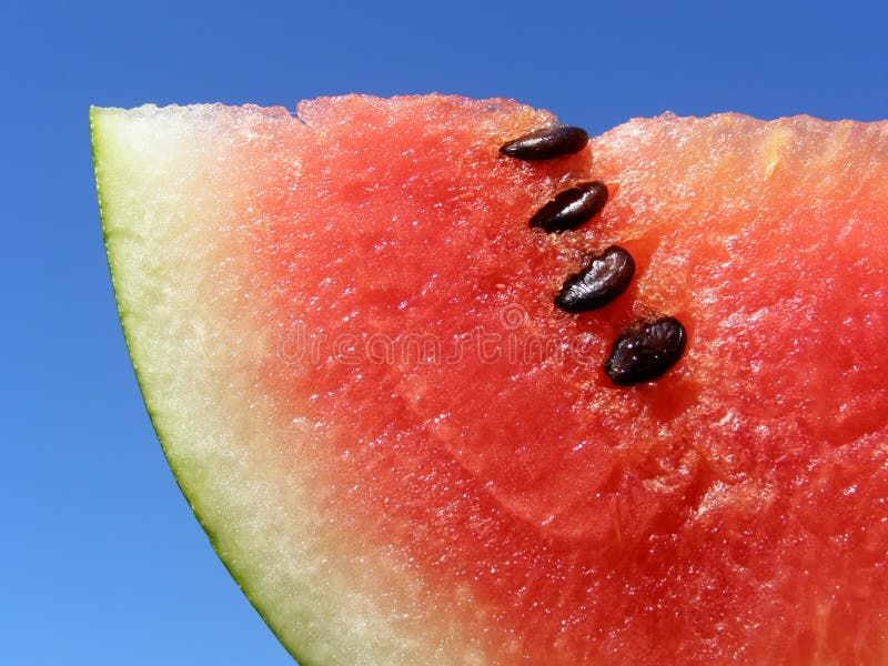 Red water melon stock photo. Image of melon, slice, summer - 2361948