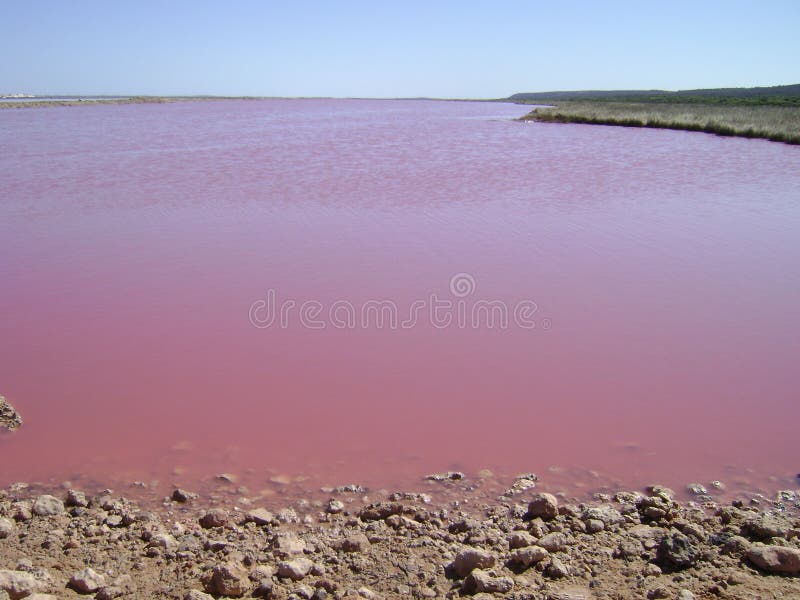 Red Water stock photo. Image of seaside, lake, mineral - 42416120