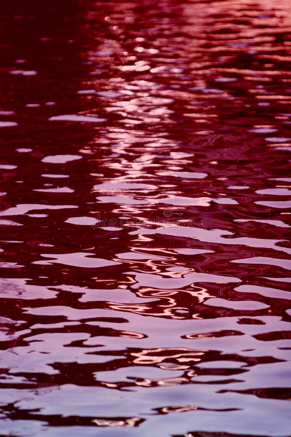 310+ Red water ripples Free Stock Photos - StockFreeImages