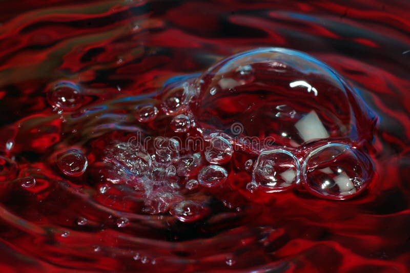 Red water stock image. Image of organism, background - 44859831