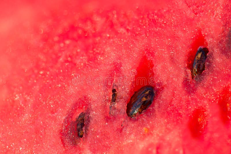 Red watermelon in close-up stock image. Image of organic - 75013505
