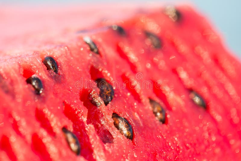 Red watermelon in close-up stock image. Image of green - 75013691