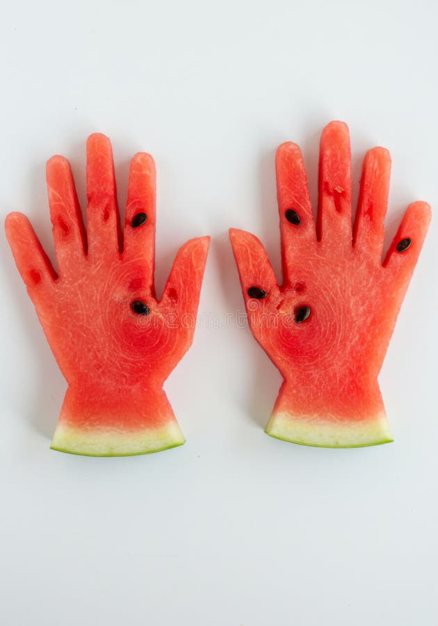 Red Watermelon Hands on White Background Stock Illustration ...
