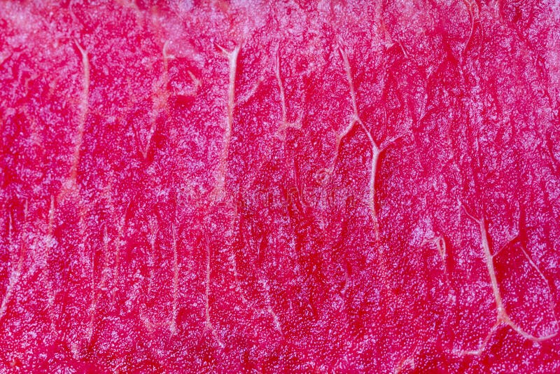 Red Watermelon Texture Stock Photos - Download 4,173 Royalty Free Photos
