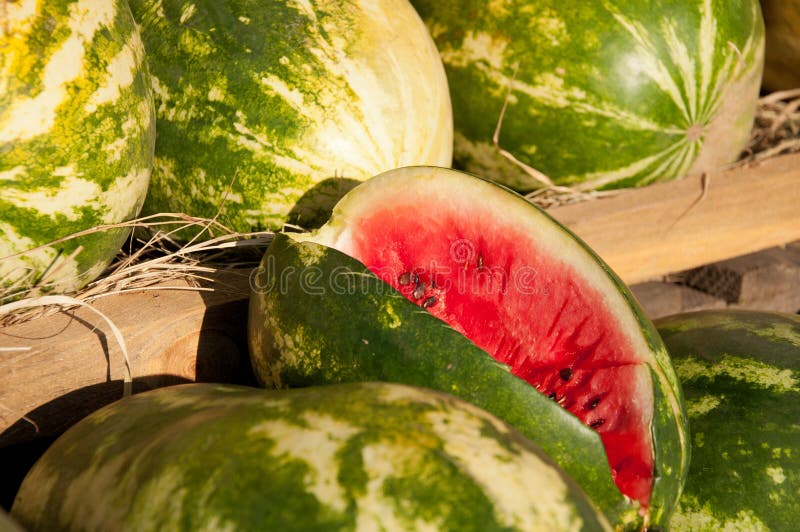 Red watermelons stock image. Image of helpful, seeds - 33305513