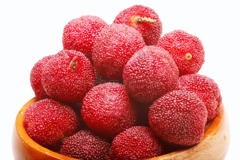 Waxberry stock photo. Image of food, delicious, garden - 7599082