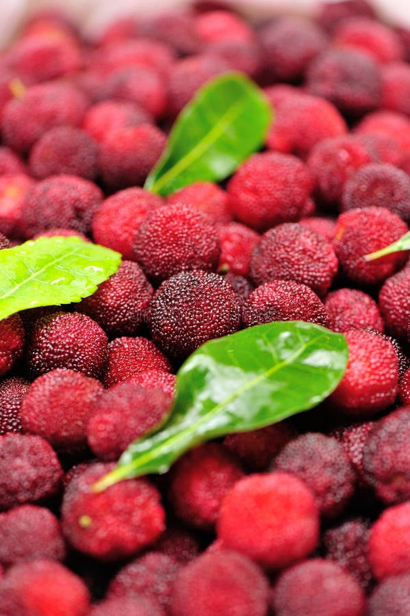 Fresh Waxberry in the Basket Stock Photo - Image of balls, gourmet ...