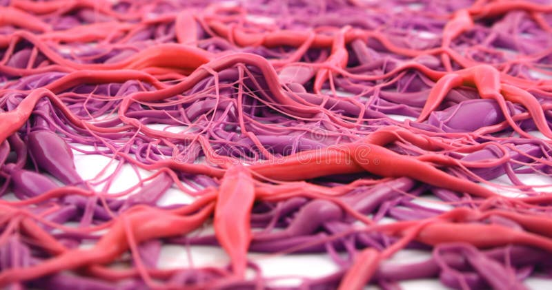 The Red Weed Picture. Image: 1874949