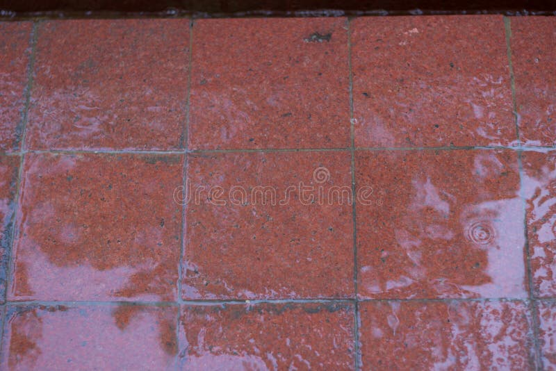 Red Wet Brick Paving Stones on a Sidewalk. Abstract Background Texture ...