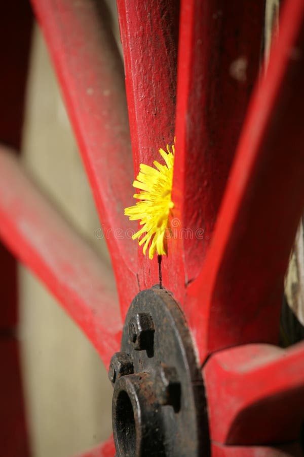 Red Wheel Picture. Image: 1595928