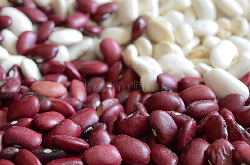 Red and white beans stock photo. Image of haricot, crop - 69474458