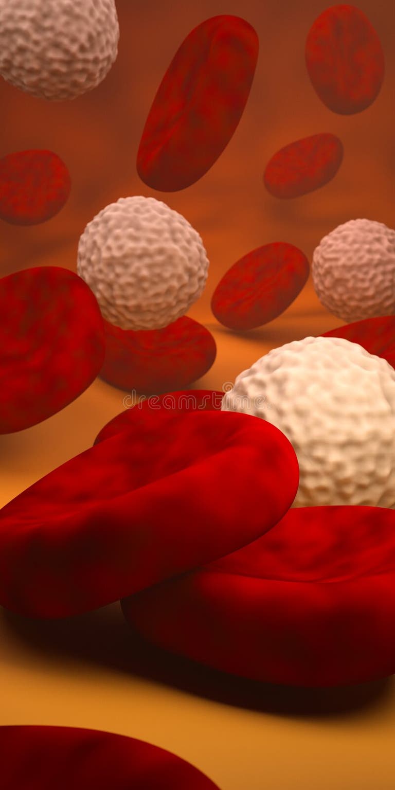 Rbc Red Blood Cells Stock Illustrations – 435 Rbc Red Blood Cells Stock ...