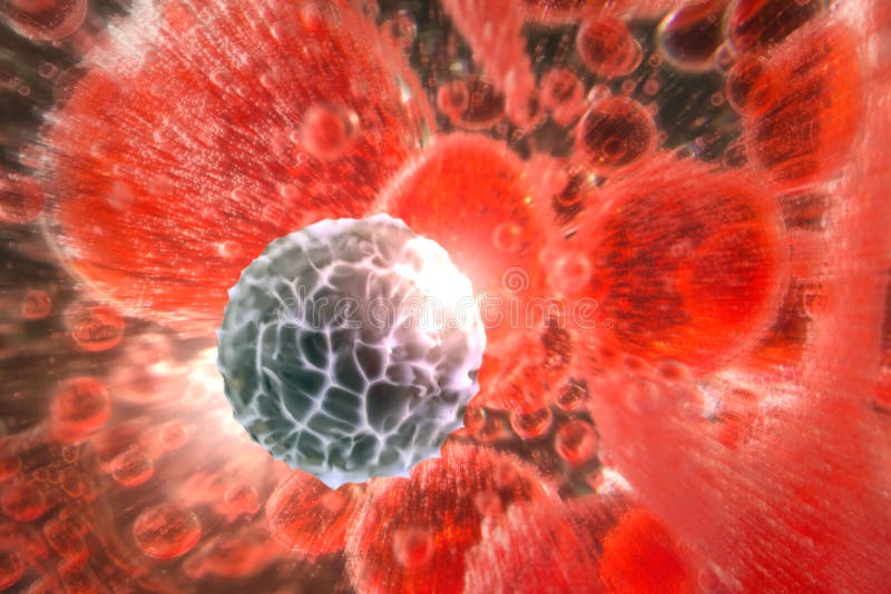 Red White Blood Cells stock photo. Image of clinic, micro - 87607360