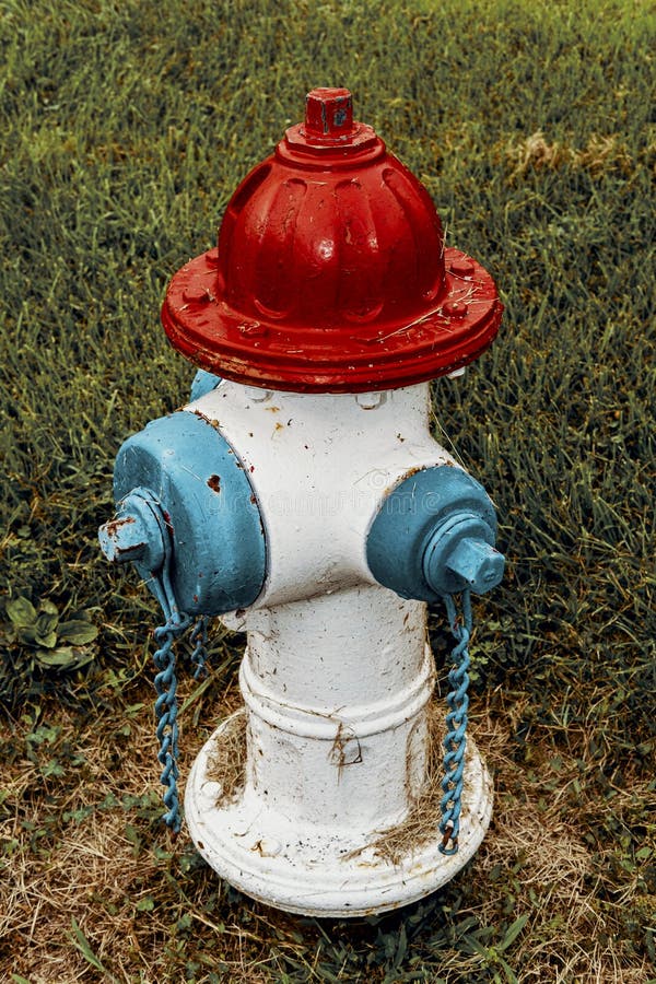 Red White Blue American Fire Hydrant Stock Image - Image of grass ...
