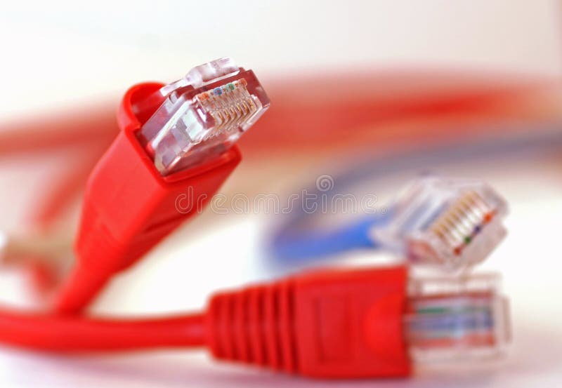 Red White and Blue CAT 5 Cables Stock Image - Image of modem, data: 345953