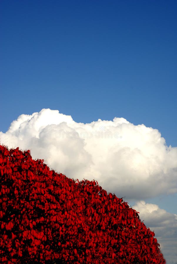 Red, white, and blue scene stock image. Image of colour - 4377927