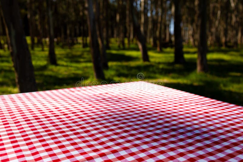 Red and White Checkered Picnic Table in Sunlit Forest Stock Photo ...