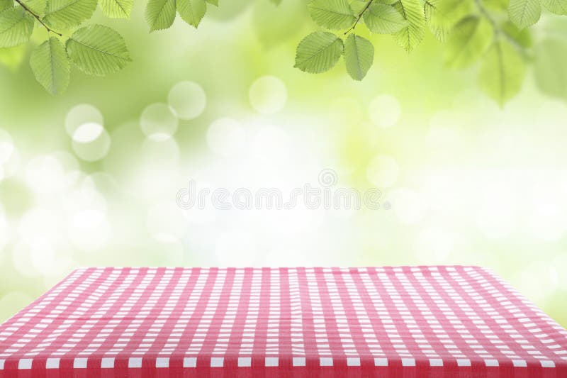 Red and White Checkered Tablecloth on Table Under Branches with Leaves ...