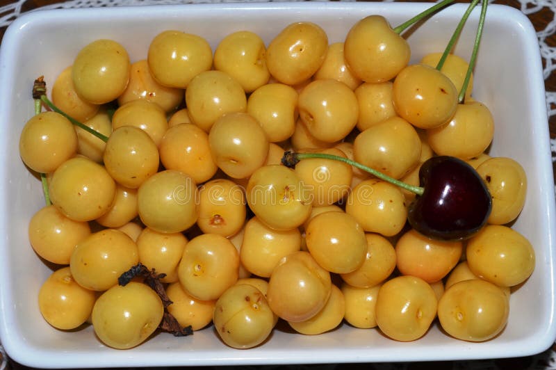 Red and white cherries stock image. Image of cherry - 119893955