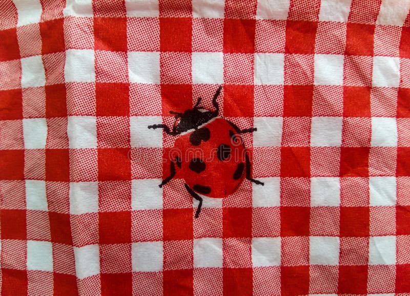 Ladybug Seamless Texture Stock Photos - Free & Royalty-Free Stock ...