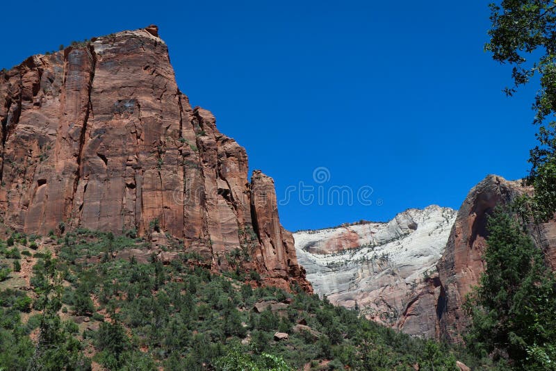 Red and White Cliffs at Zion Stock Image - Image of beautiful, great ...