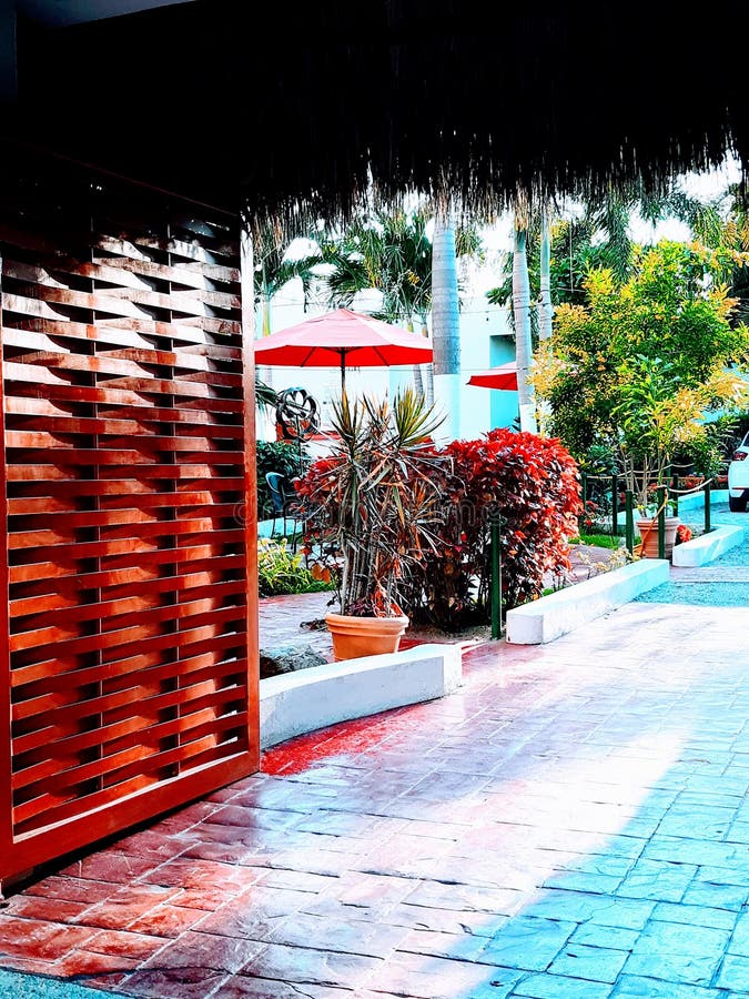 Red and White Courtyard Pathway with Tropical Plants Stock Image ...