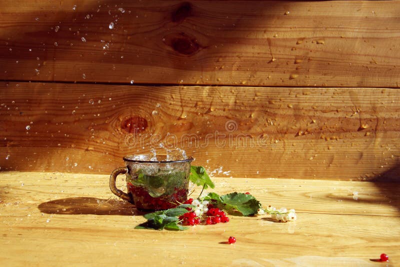 Red and White Currant Drinks Recipes with Fresh Mint. a Cup of Splash ...