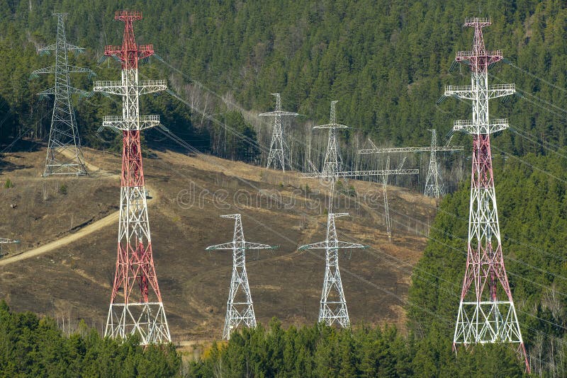 Red-white Electric Poles at the Edge of the Forest. Stock Image - Image ...