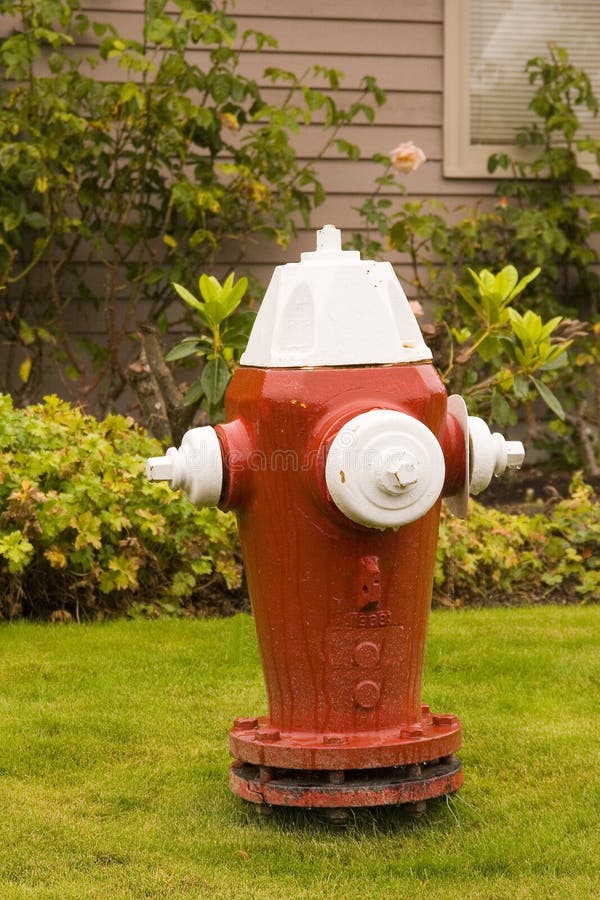 Red And White Fire Plug Picture. Image: 3351898