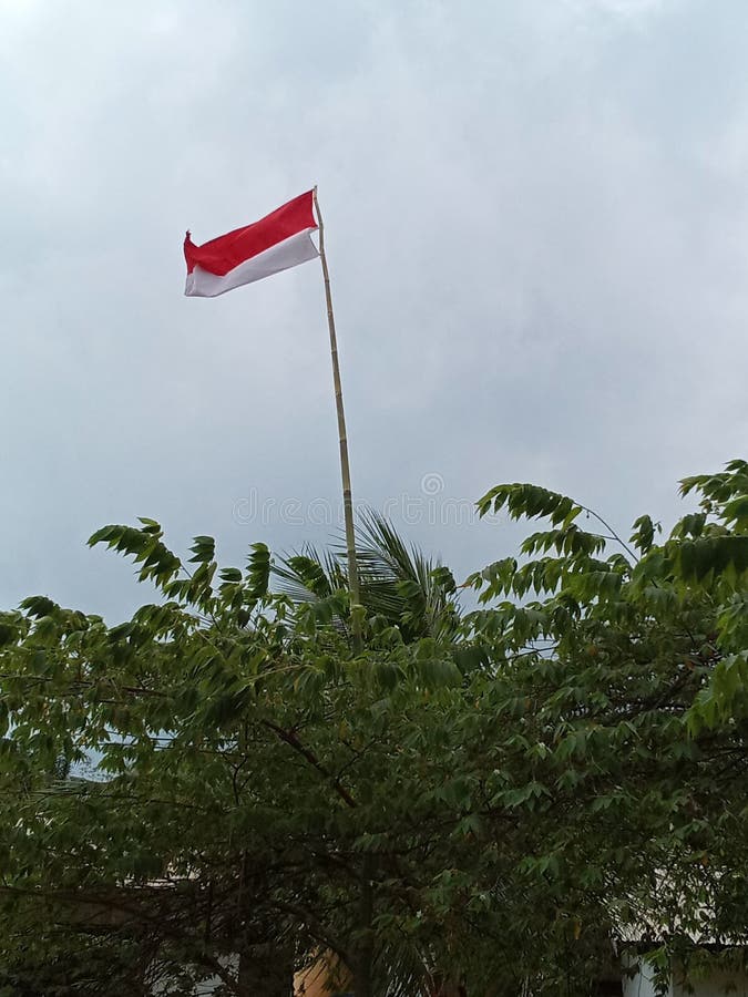 The Red and White Flag with Bamboo Look so Beautiful on the Tree Stock ...