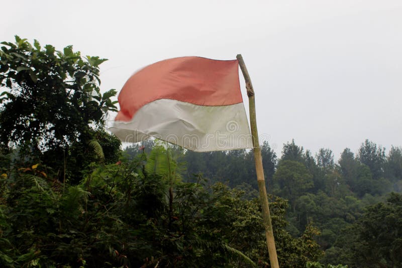 Red and White Flags Fluttering in the Forest Stock Image - Image of ...