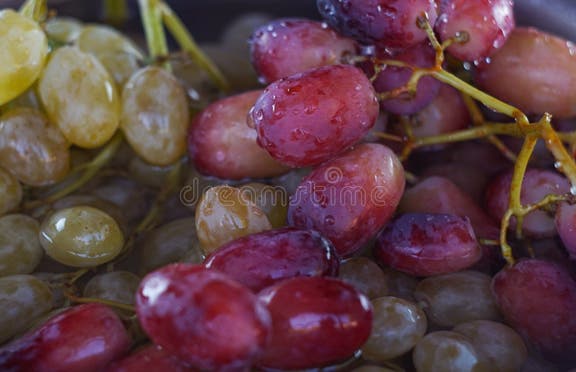 Red and White Grapes are Washed with Water in the Stock Image - Image ...