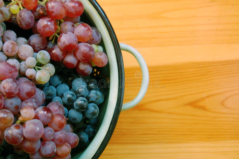 Grapes on wooden table stock photo. Image of nature - 101306152