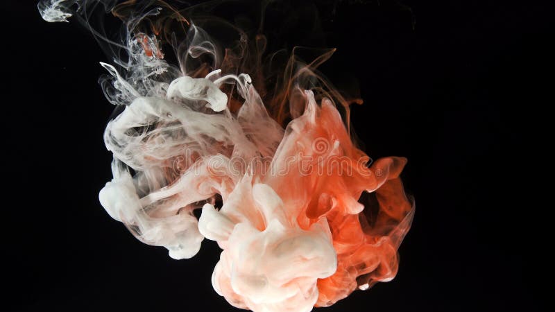 Red and Black Ink Splash on White Background Stock Video - Video of ...