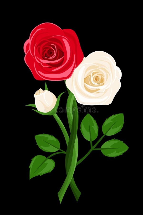 Isolated red roses stock vector. Illustration of graphic - 7609807